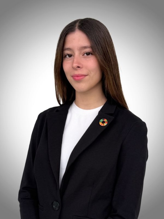DISEC – Disarmament And International Security Committee – SPISMUN 2025 ...