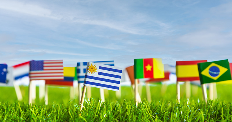 Tips for MUN – SPISMUN